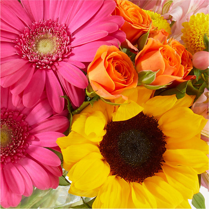 San Diego Florist | Same Day Flower Delivery by Aimee's Flowers